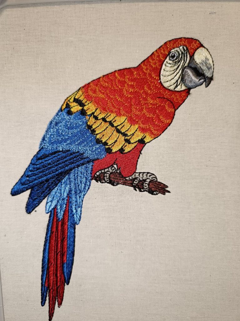 Popugai Free Embroidery Design – embwin – machine embroidery designs